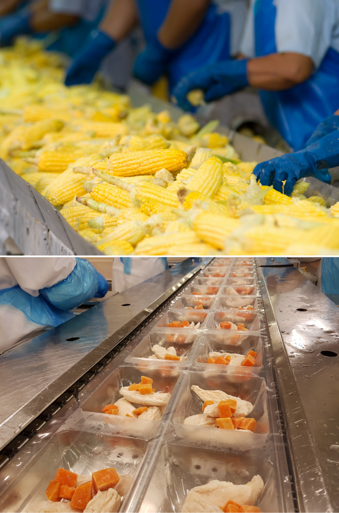 FPE Program – Toronto Centre of Learning & Development